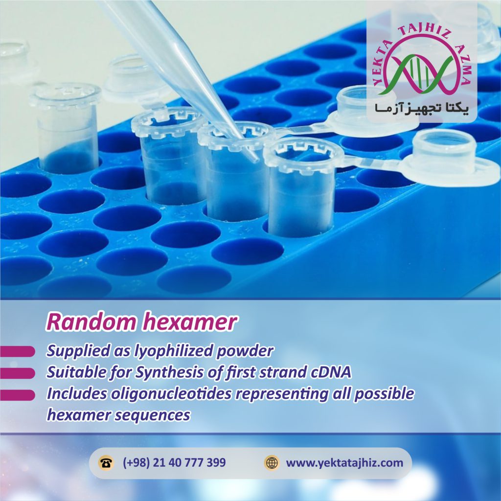 پرایمر رندم هگزامر | Random hexamer primer | یکتا تجهیز آزما