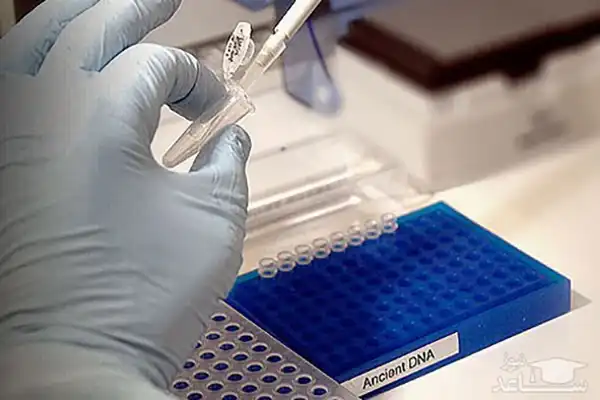 استخراج DNA به روش Salting Out | یکتا تجهیز آزما